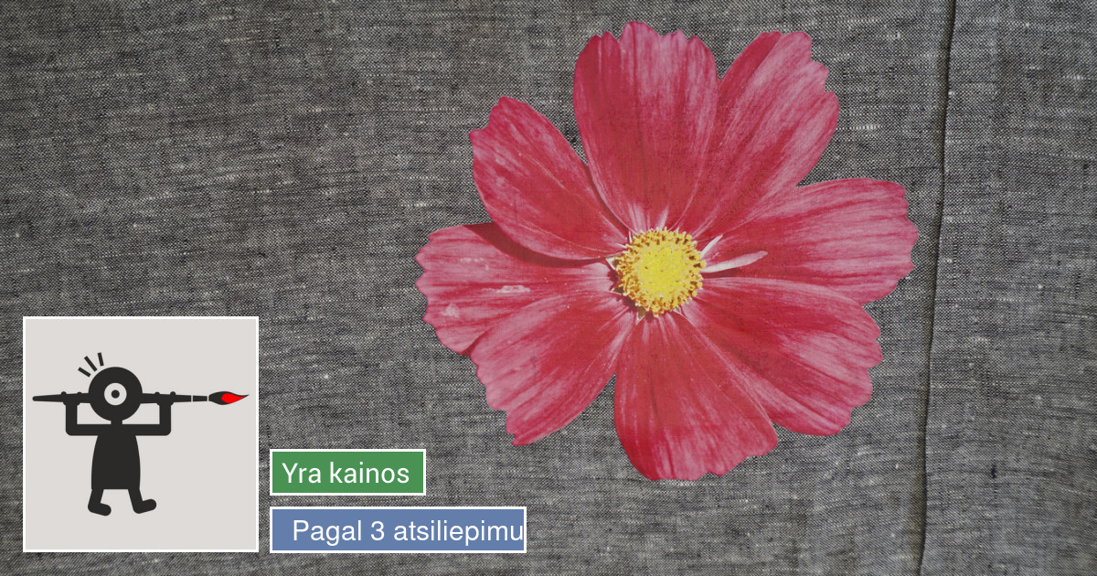 Spauda ant tekstilės - Kaunas / VšĮ Projektų studija - Paslaugos.lt ...